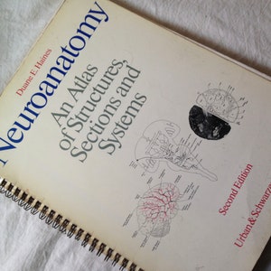 Neuroanatomy Atlas of Structures Sections and Systems Duane Haines ...