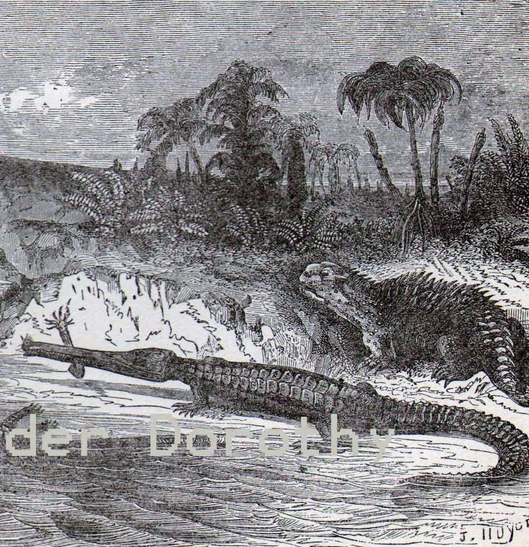 Singular Reptiles Oolitic Period Antediluvian Crocodiles Victorian Era ...