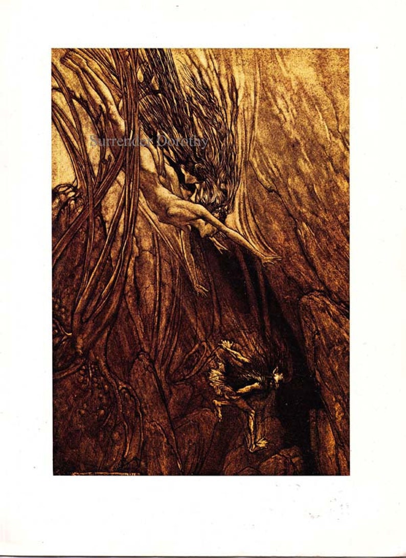 Rhinegold & Valkyrie Arthur Rackham Vintage Edwardian Era Vintage ...