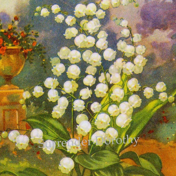 1920s Nature Print - Etsy