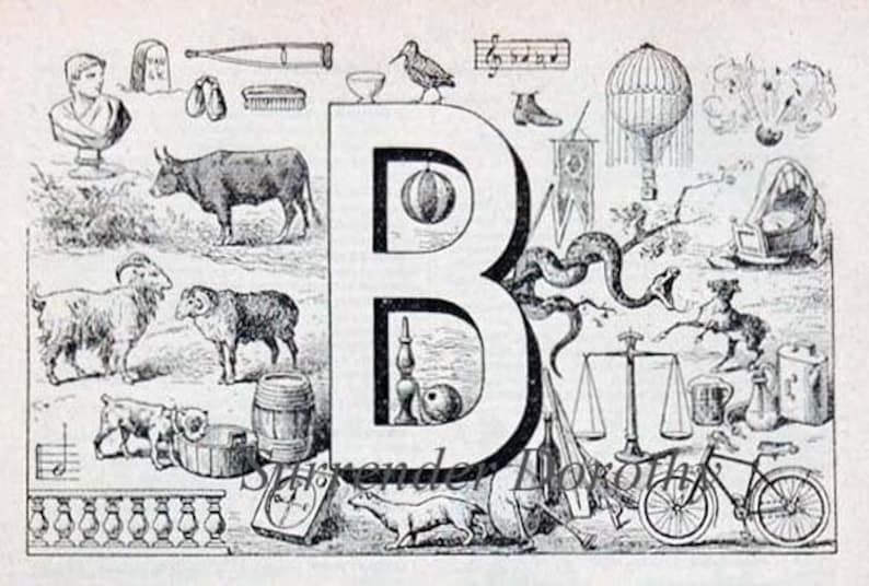 Letter B French Dictionary Alphabet Chart Paris France to - Etsy