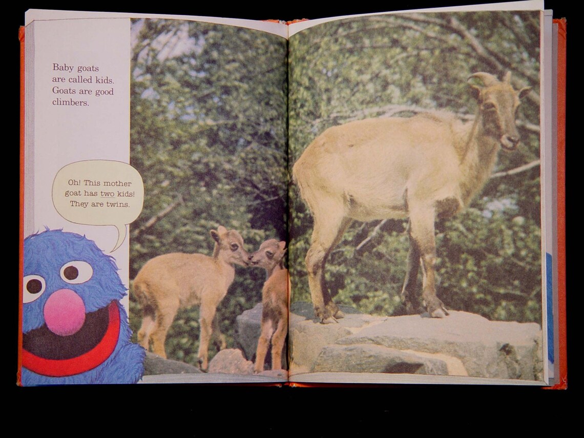 Grover's Book of Cute Little Baby Animals Children's Television Network ...
