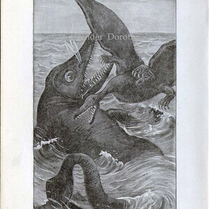 Great Fish Lizard and Flying Reptile 1887 Victorian Natural - Etsy
