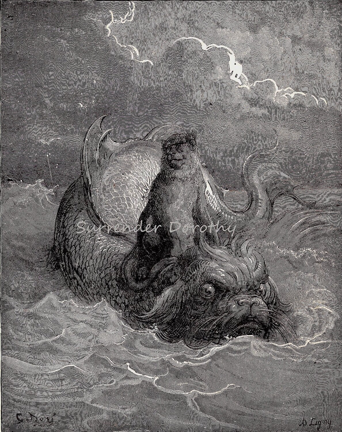 Monkey & Dolphin Dore Vintage Victorian Print 1882 Natural History ...