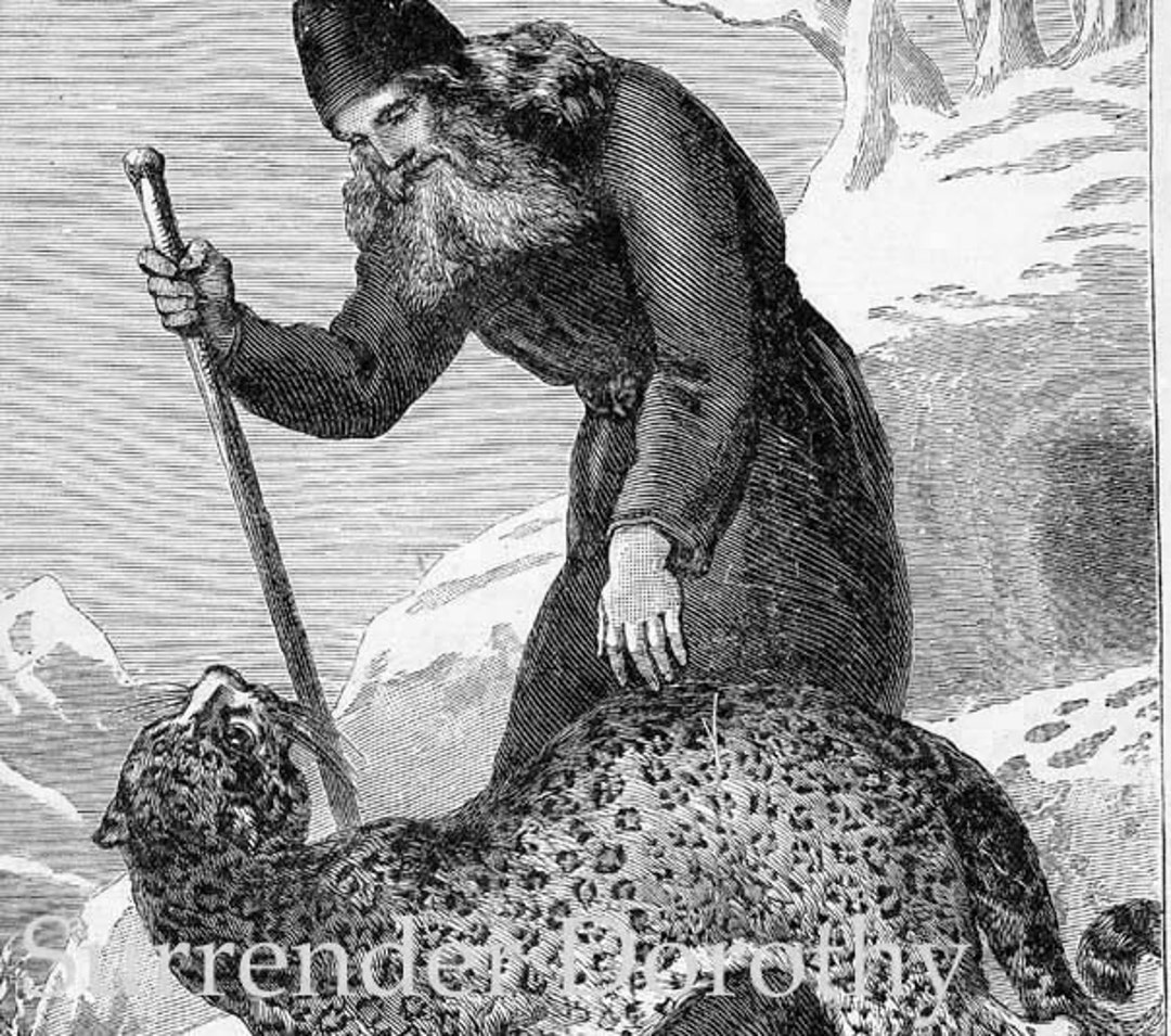 Hermit Man Snow Leopard Vintage Victorian Big Cat Engraving 1890 ...