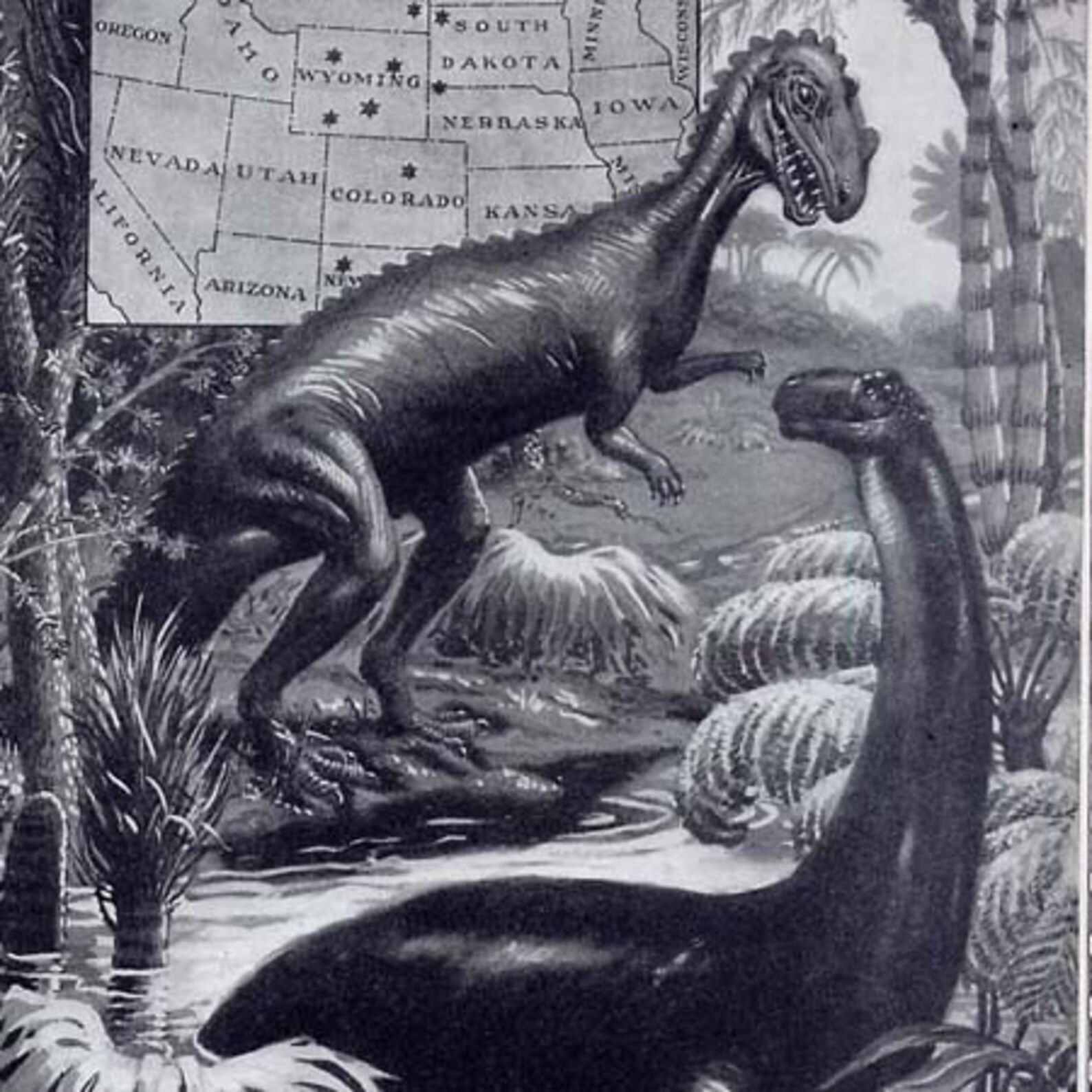Allosaurus Has Brontosaurus for Lunch Tough-love Laws of the Dino-swamp ...