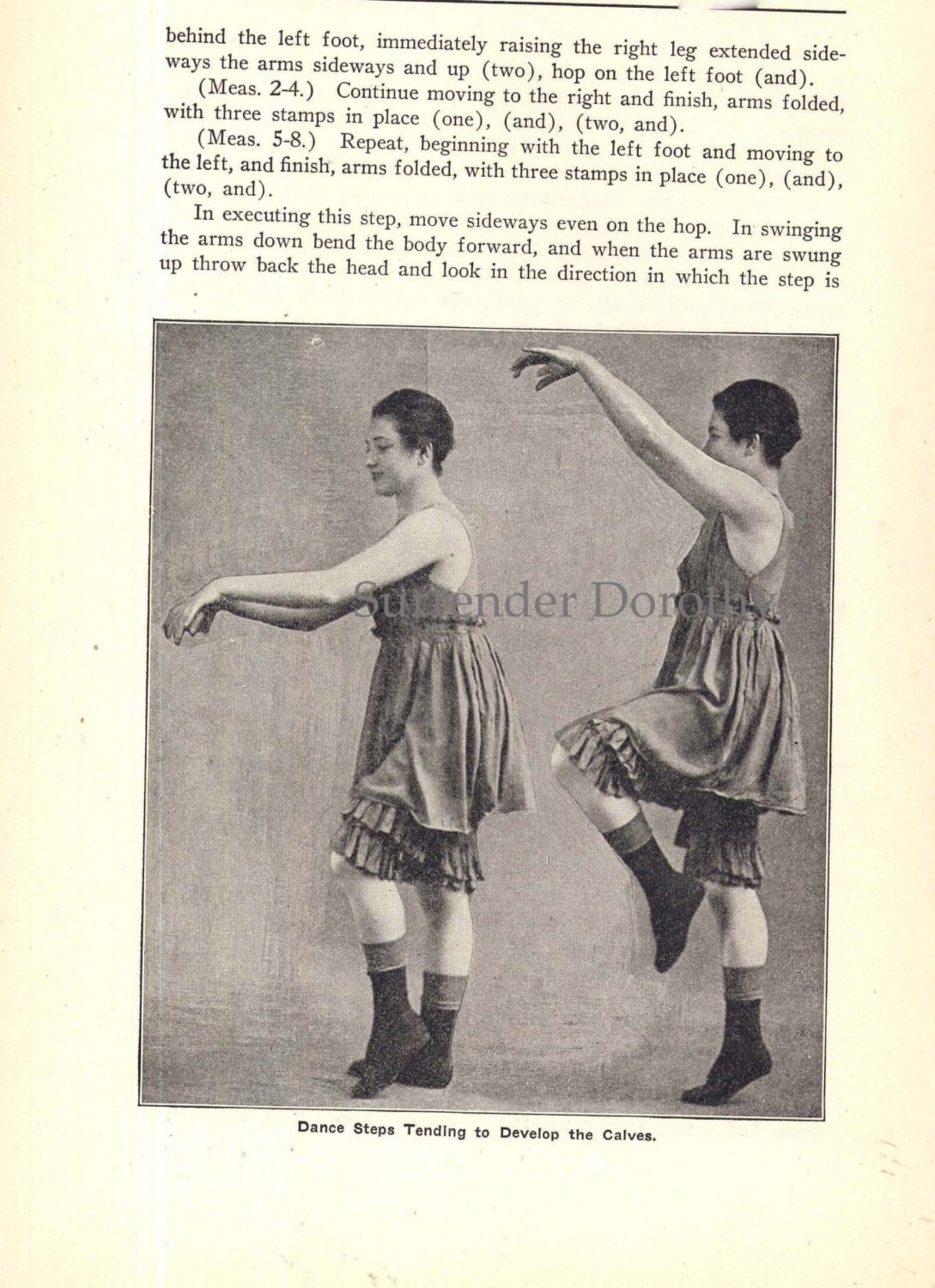 Cute Flapper Girl Tiptoes Through Tulips 1920s Vintage Dance | Etsy