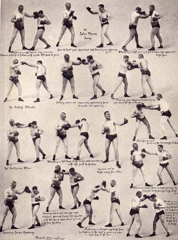 Manly Art Of Boxing Chart To Frame Sporting Chart 1928 Black & | Etsy
