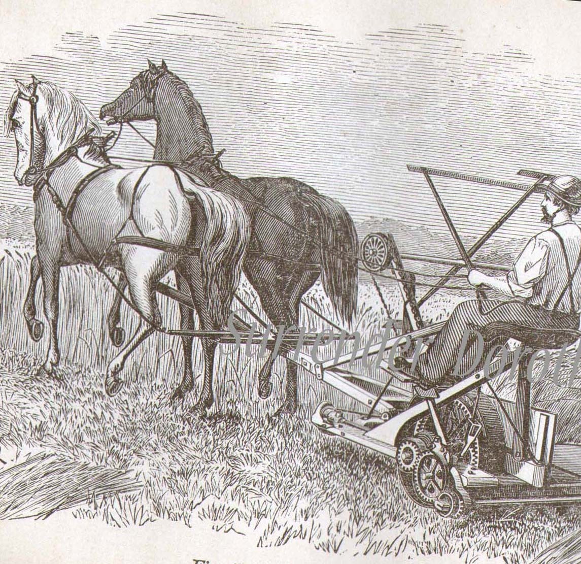 Ox Drawn Farming Implements