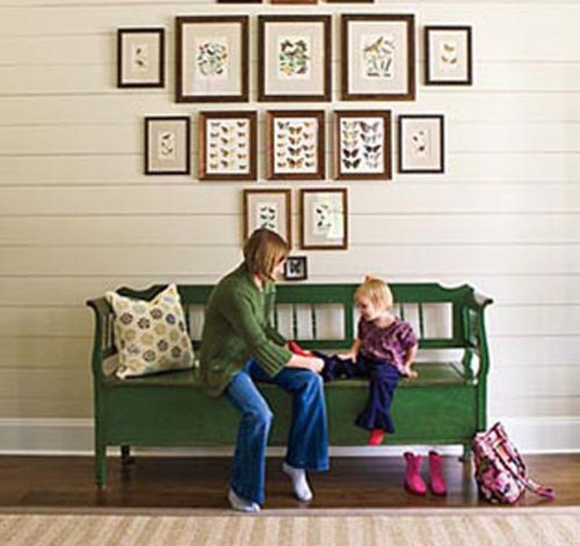 Sandalwood Chittim Stone Root Ague Healing Medicinal Plants | Etsy