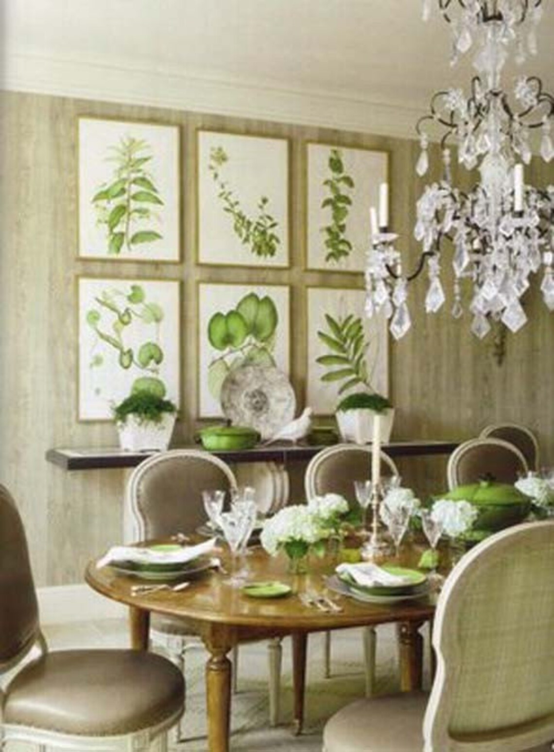 Prophet Flower & Salvia Indica Middle East Botanical Exotica | Etsy