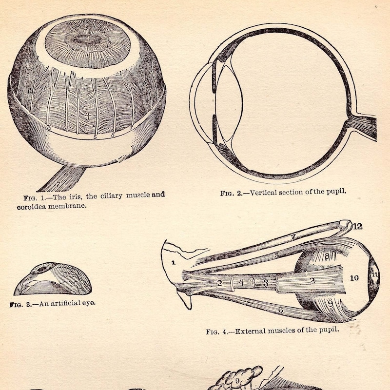 Vintage Eye Chart - Etsy