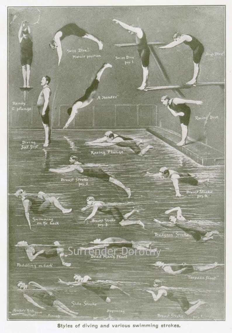 Men Swimming Diving Athletic Reference Chart Rotogravure - Etsy
