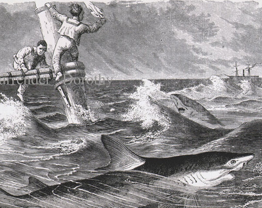 Sharks Sinking Ship Crew Victorian Era 1870s SOS Vintage Natural ...