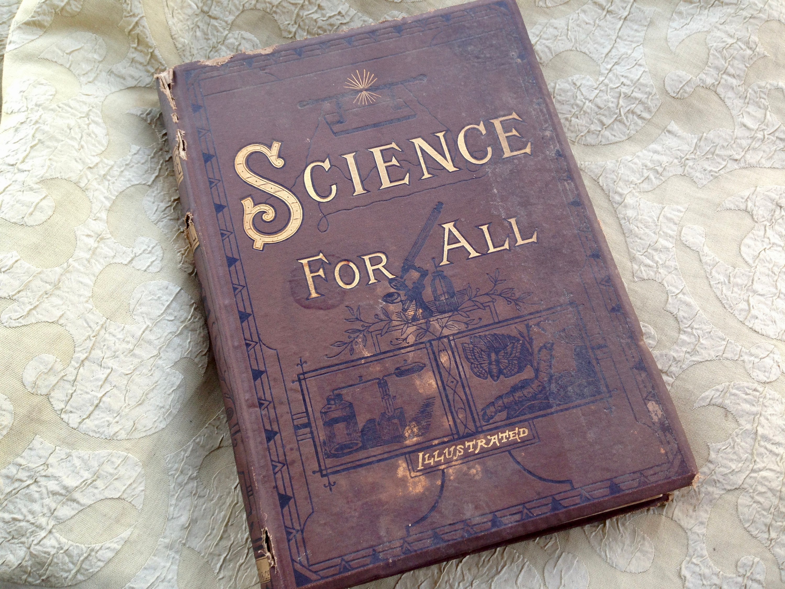 Robert Brown Scientist