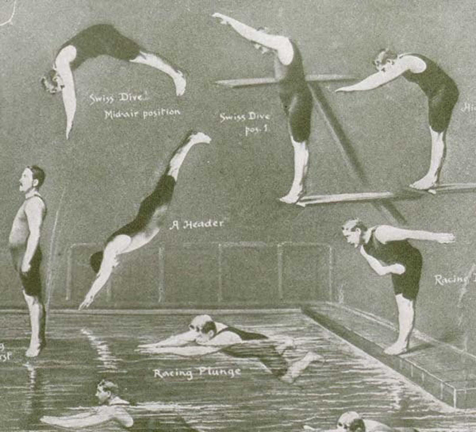 Men Swimming Diving Athletic Reference Chart Rotogravure - Etsy