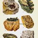 Augite Diopside Enstatite Hypersthene Wollastonite Crystal Stone ...