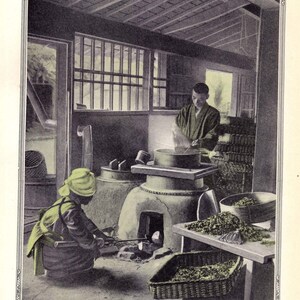 1928 Steaming Tea Leaves for Green Tea in Japan Hand-tinted Photo ...