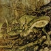 Green Dragon Monster Arthur Rackham Vintage Children's Nursery ...