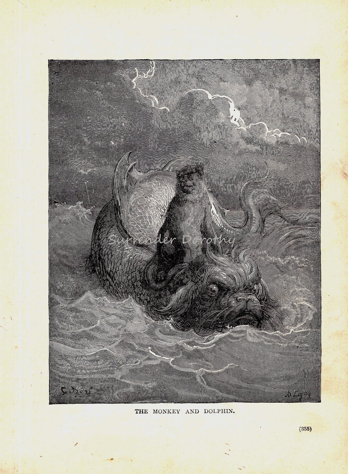 Monkey & Dolphin Dore Vintage Victorian Print 1882 Natural | Etsy