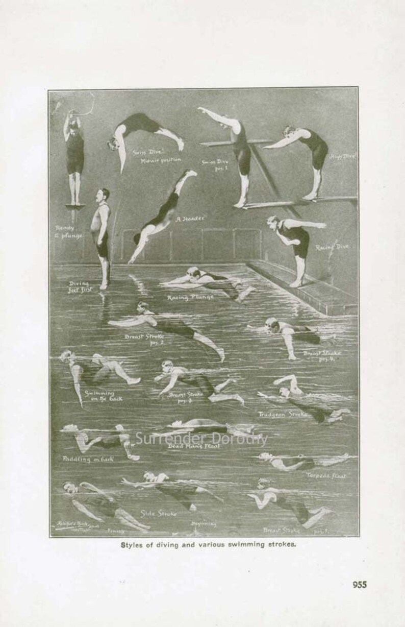 Men Swimming Diving Athletic Reference Chart Rotogravure - Etsy