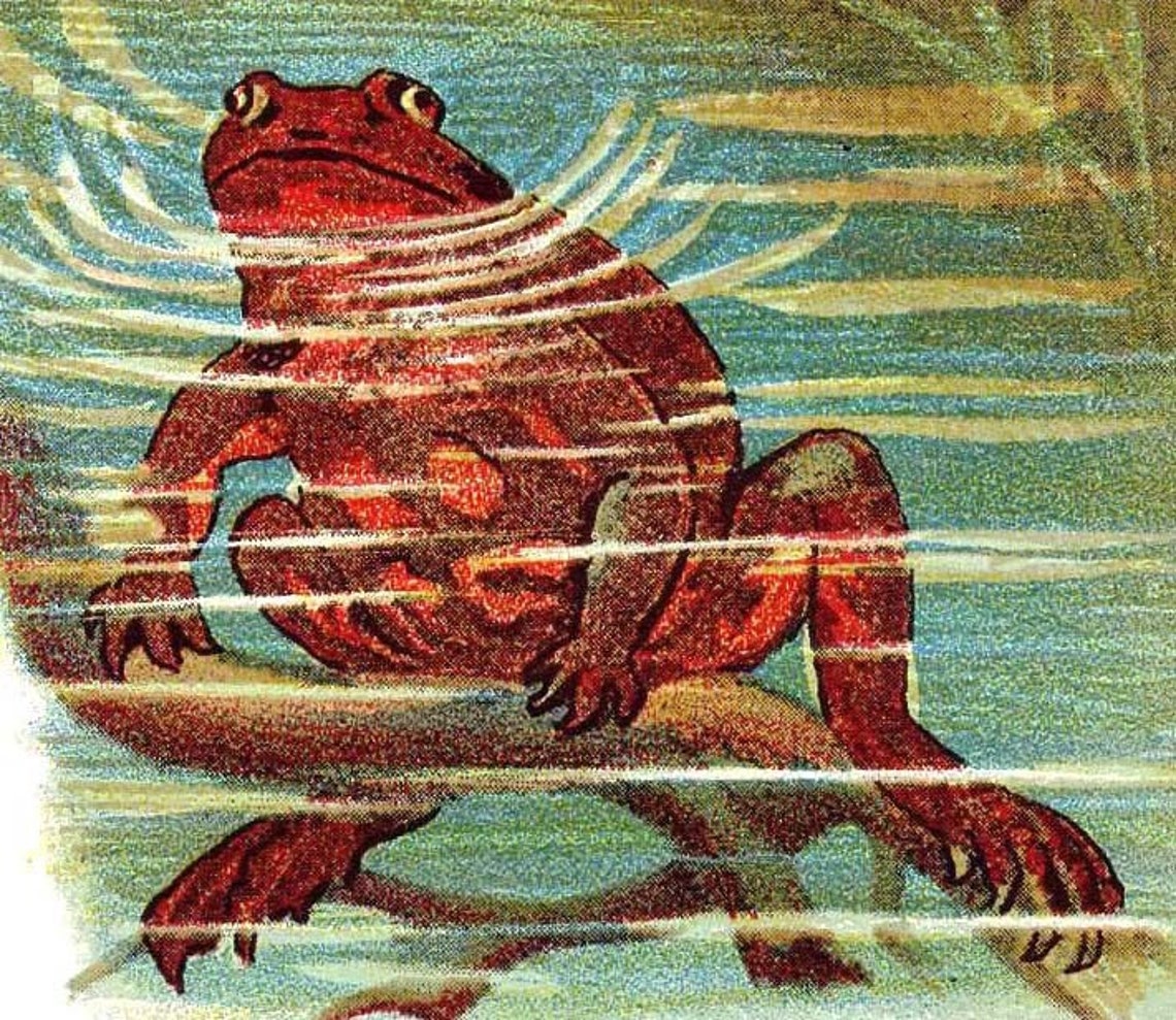 Frog & Toad Chart Edwardian Natural History Chromolithograph | Etsy