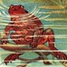 Frog & Toad Chart Edwardian Natural History Lithograph Illustration to ...
