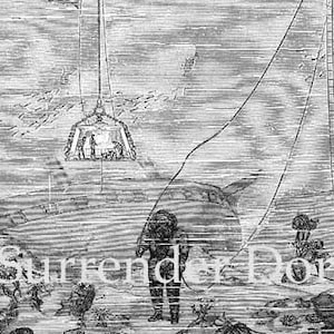 Coral Divers Diving Bell Vintage Victorian Natural History 1897 ...
