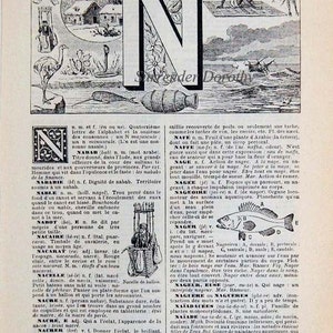 Letter N French Dictionary Alphabet Chart Paris France to Frame Black ...