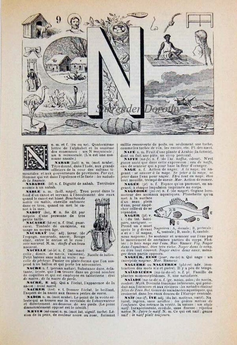 Letter N French Dictionary Alphabet Chart Paris France to - Etsy