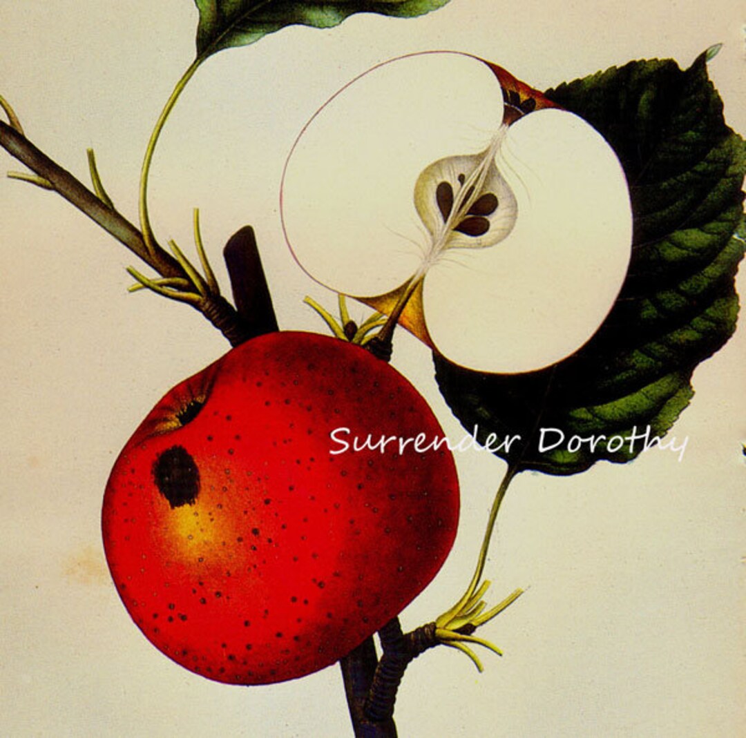 Red Astrachan Apple Prestele Vintage Agriculture Poster Print Botanical ...