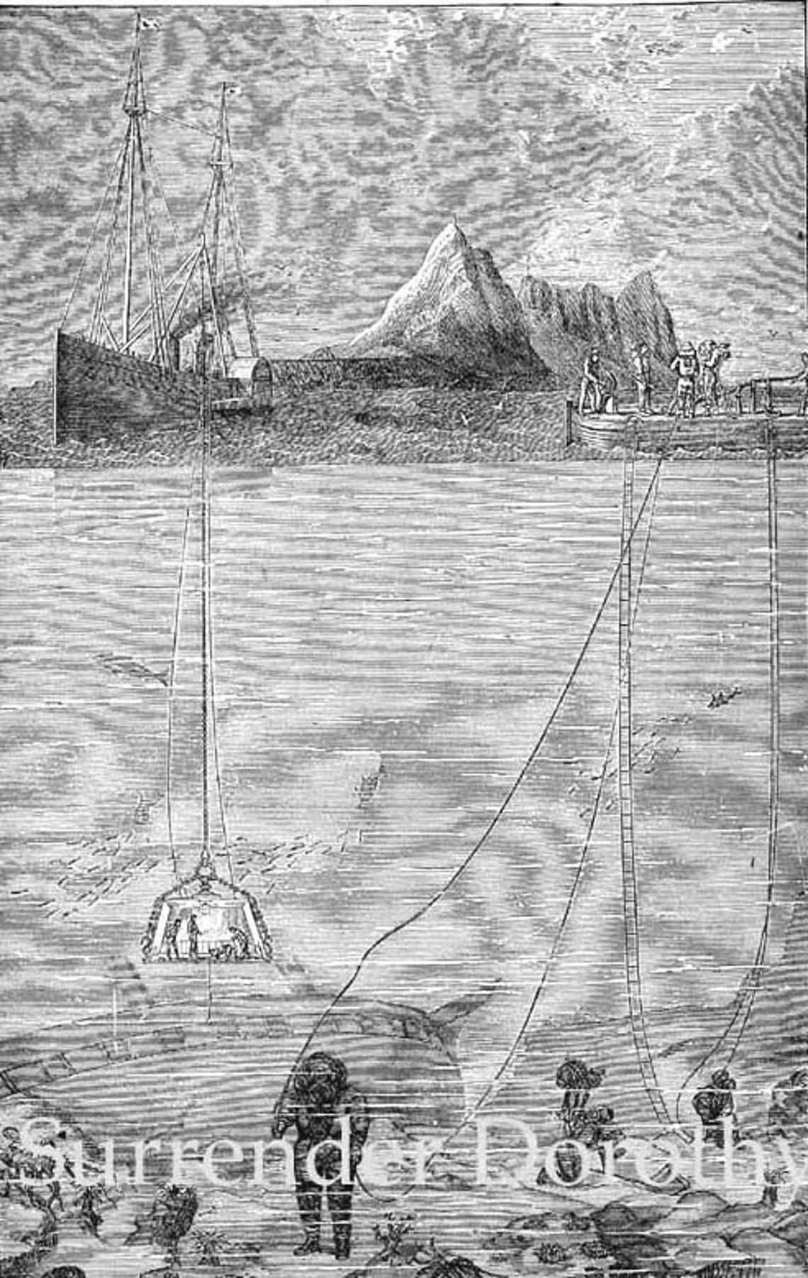 Coral Divers Diving Bell Vintage Victorian Natural History | Etsy