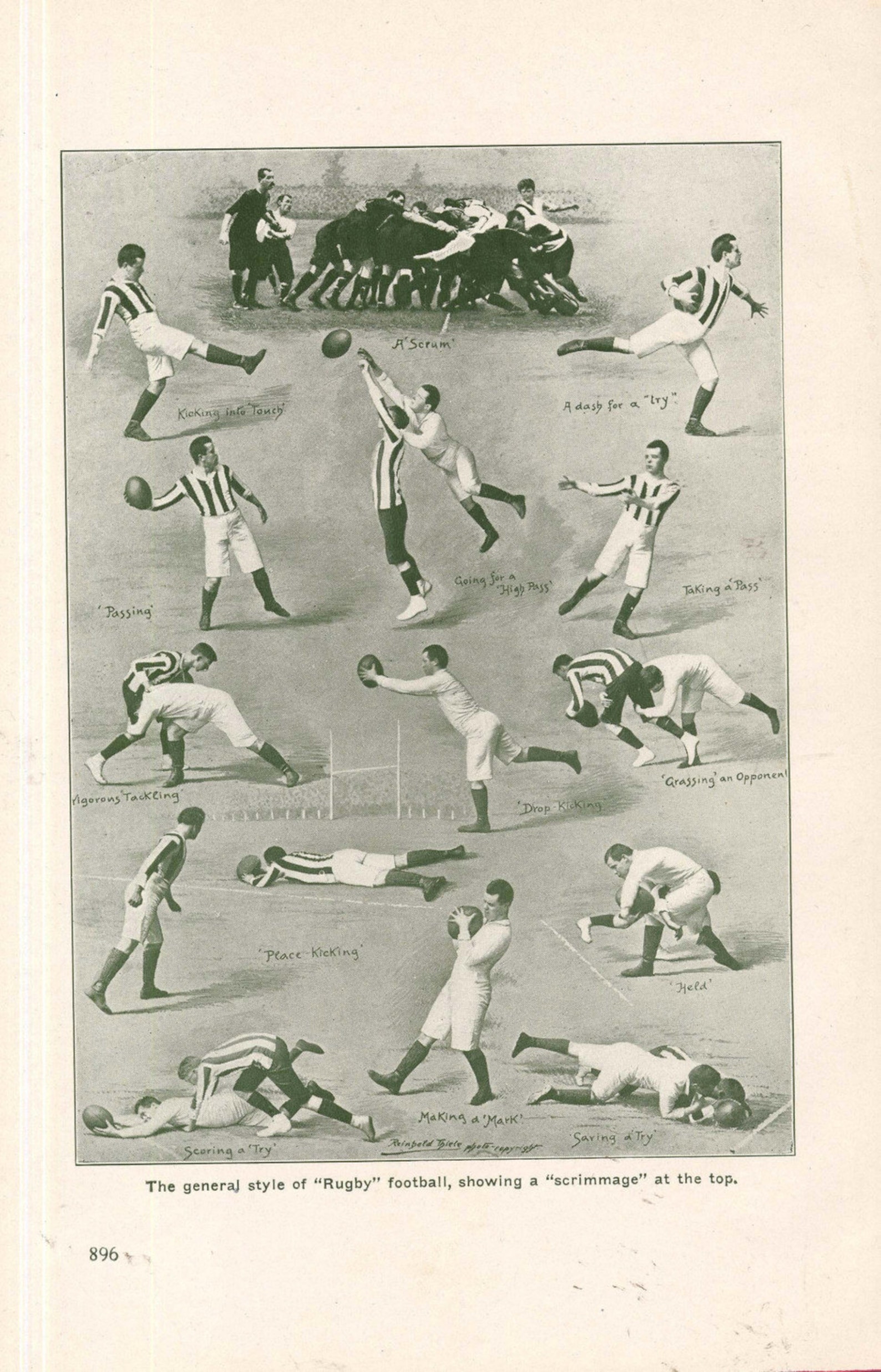 Manly Sport of Rugby Athletic Reference Chart Rotogravure | Etsy
