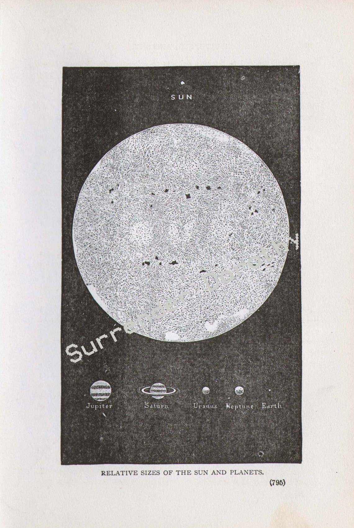Sun & Planets Victorian Astronomy 1887 Natural History Solar - Etsy