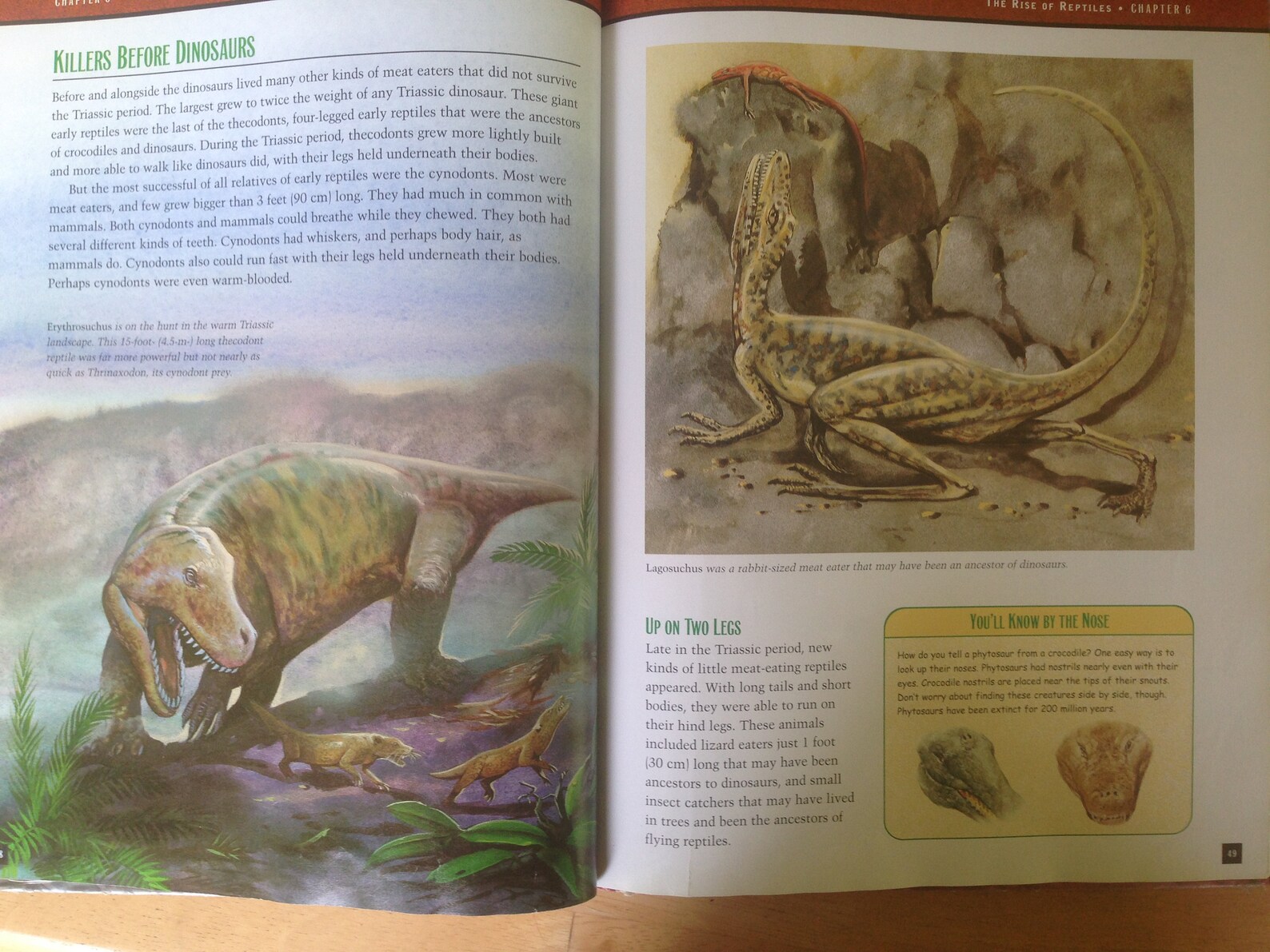 Dinosaurs to Dodos Encyclopedia of Extinct Animals Don Lessum - Etsy