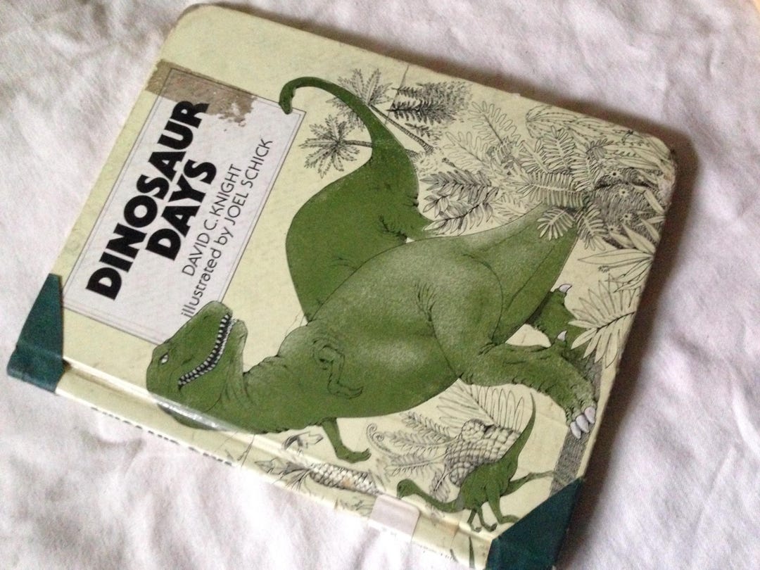 Dinosaurs Days David Knight Hardcover Children's Book 1970s - Etsy