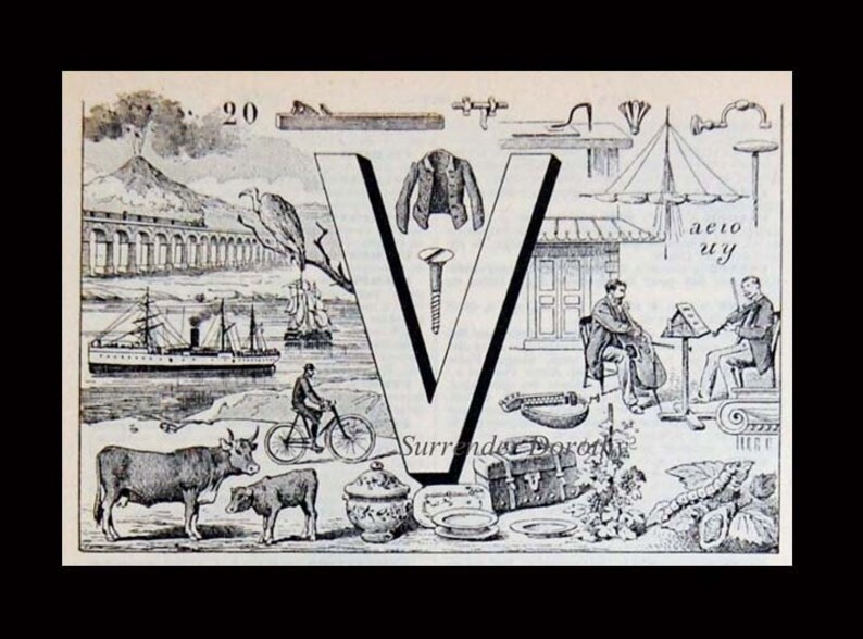 Letter V French Dictionary Alphabet Chart Paris France to - Etsy
