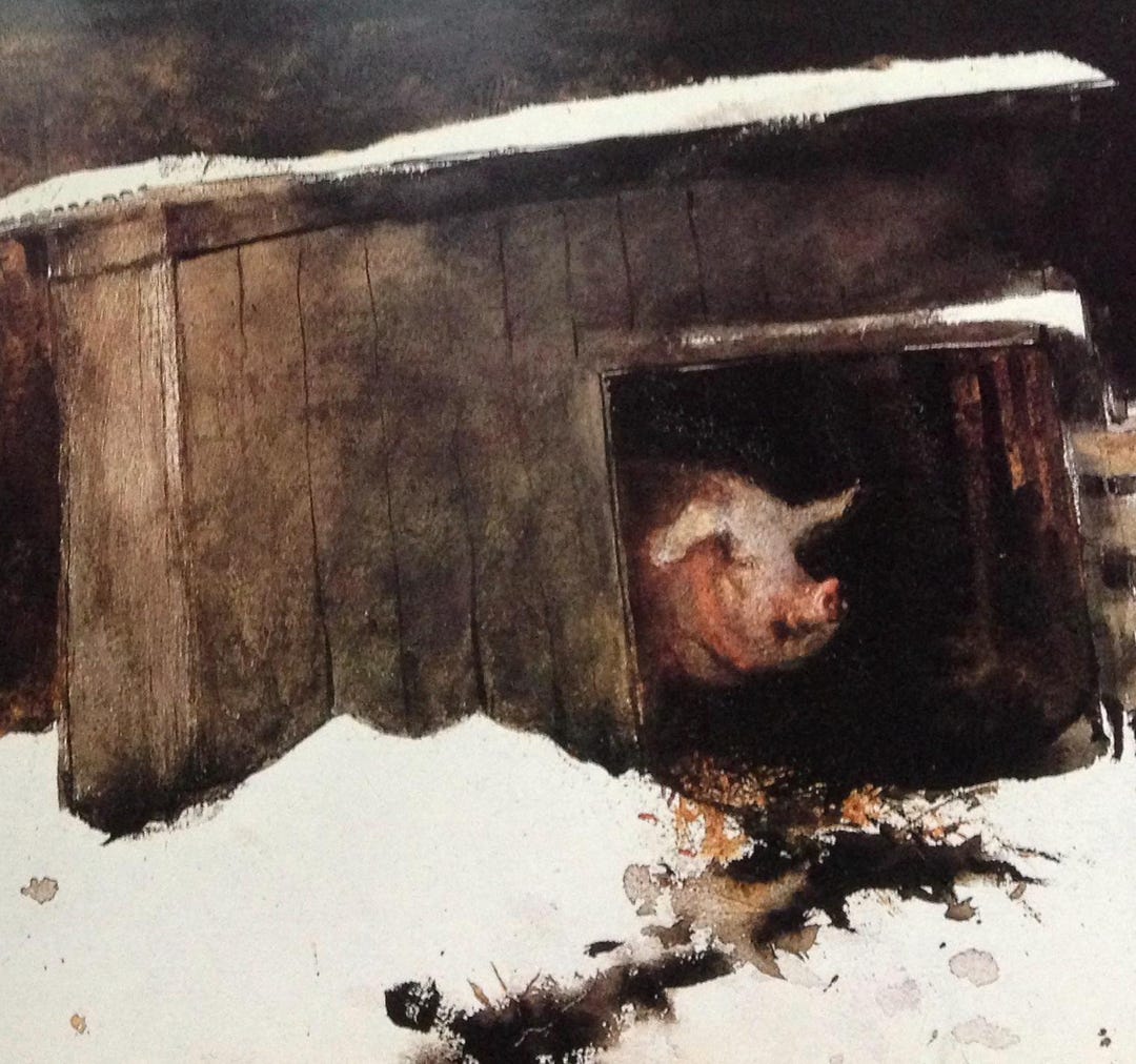 Jamie James Wyeth House of Pig Vintage Livestock Lithograph to Frame ...