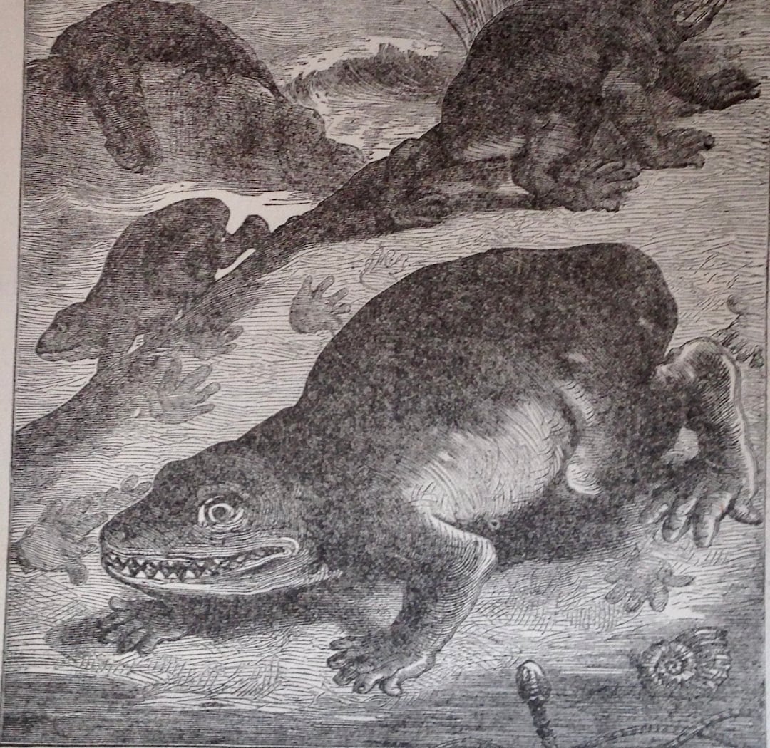 Chirotherium the Curious Hand Animal Dinosaurs Victorian Vintage 1887 ...