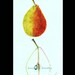 Philopena Pear 1902 USDA Vintage Botanical Lithograph Edwardian ...