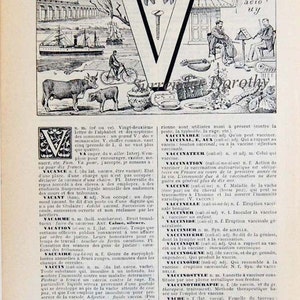 Letter V French Dictionary Alphabet Chart Paris France to Frame Black ...