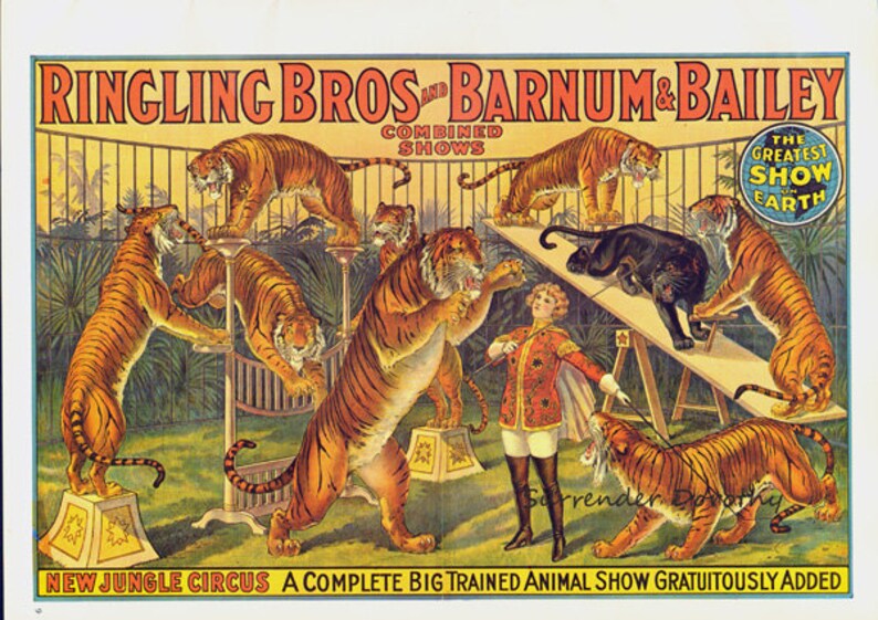 Queen of Sheba Spectacle of Balkis Barnum & Bailey Circus - Etsy