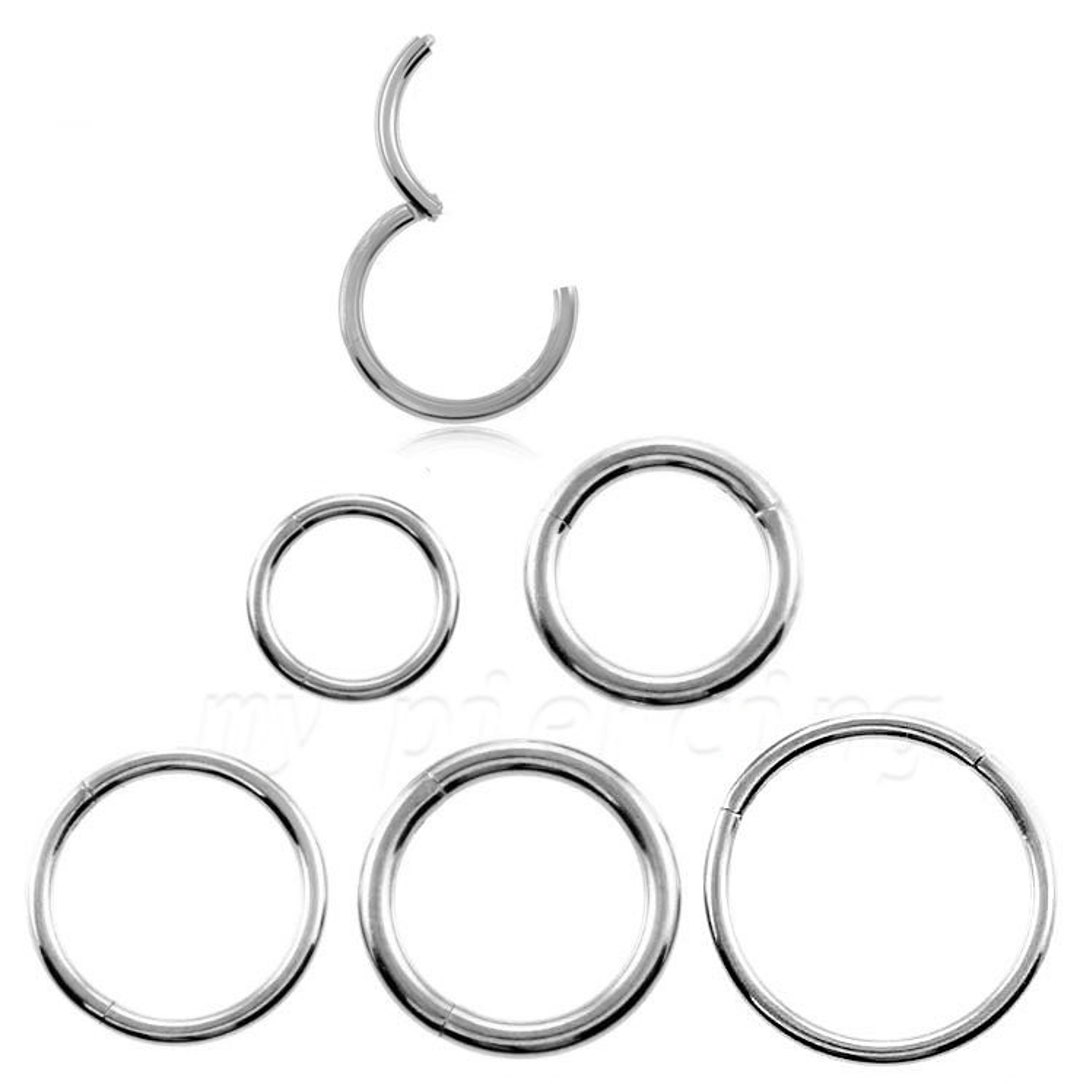 20g 18g 16g 14g Hinged Seamless Segment Ring Surgical Steel Earring ...