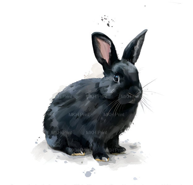 6 Printable Bunny Rabbit Painting/watercolor/digital Download/holland ...