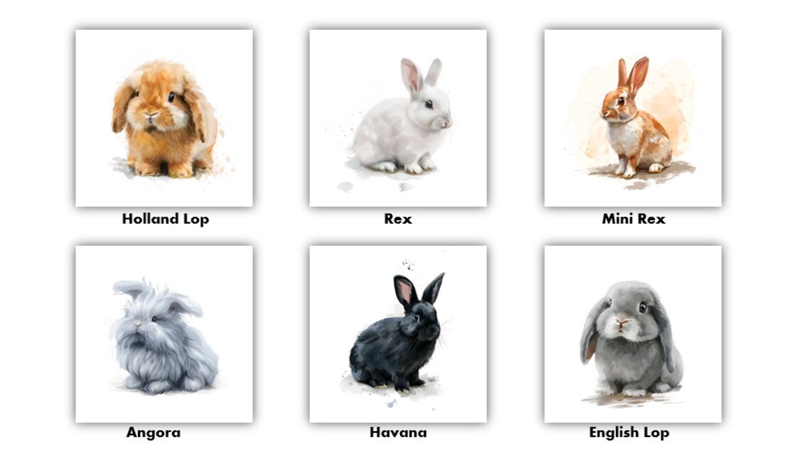 6 Printable Bunny Rabbit Painting/watercolor/digital Download/holland ...