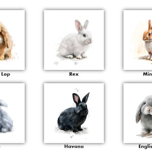 6 Printable Bunny Rabbit Painting/watercolor/digital Download/holland ...