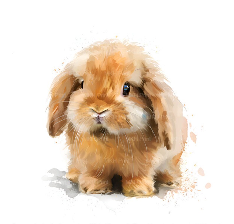 6 Printable Bunny Rabbit Painting/watercolor/digital Download/holland ...