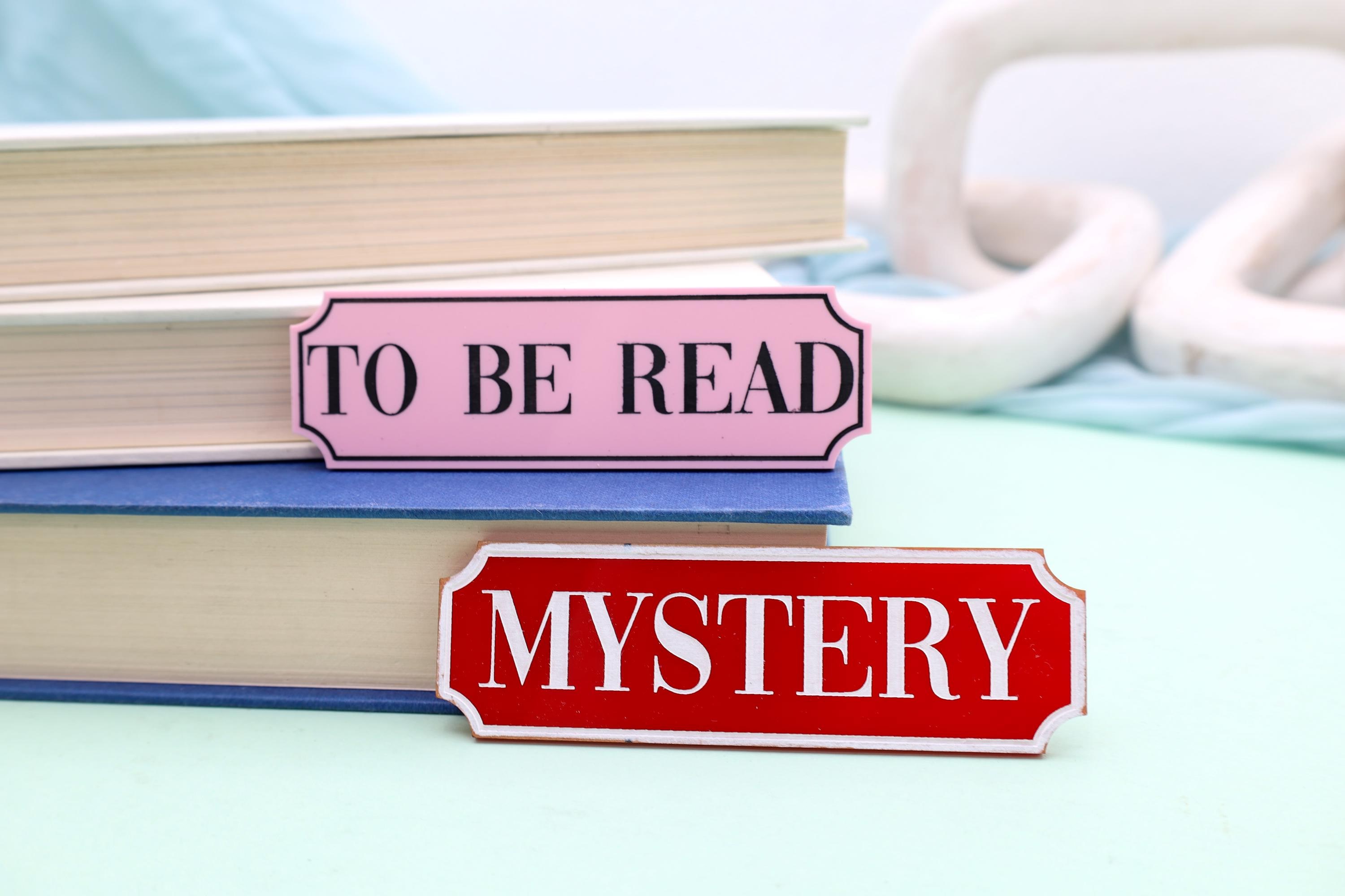 Acrylic Bookshelf Labels, Modern Book Dividers for Library Organization ...
