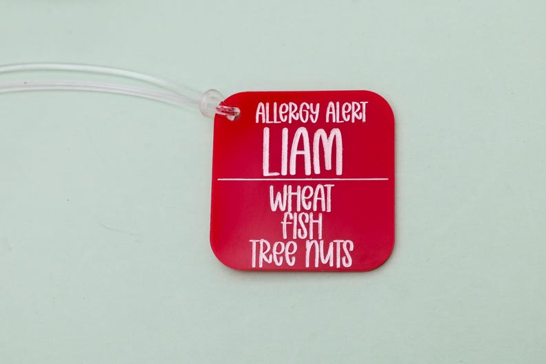 Personalized Allergy Alert Tag for Kids, Custom Engraved Medical Alert ...