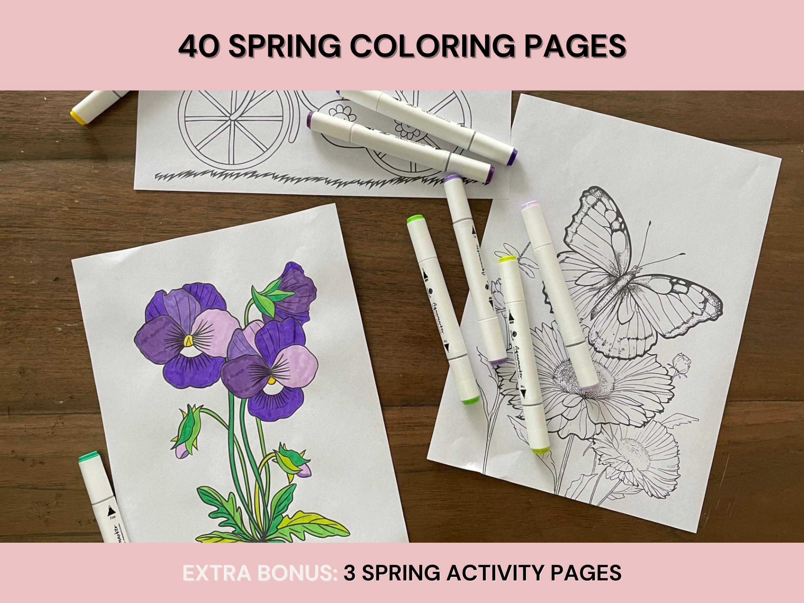 Spring Coloring Pages, Springtime Coloring Sheets for Kids, Teens and ...